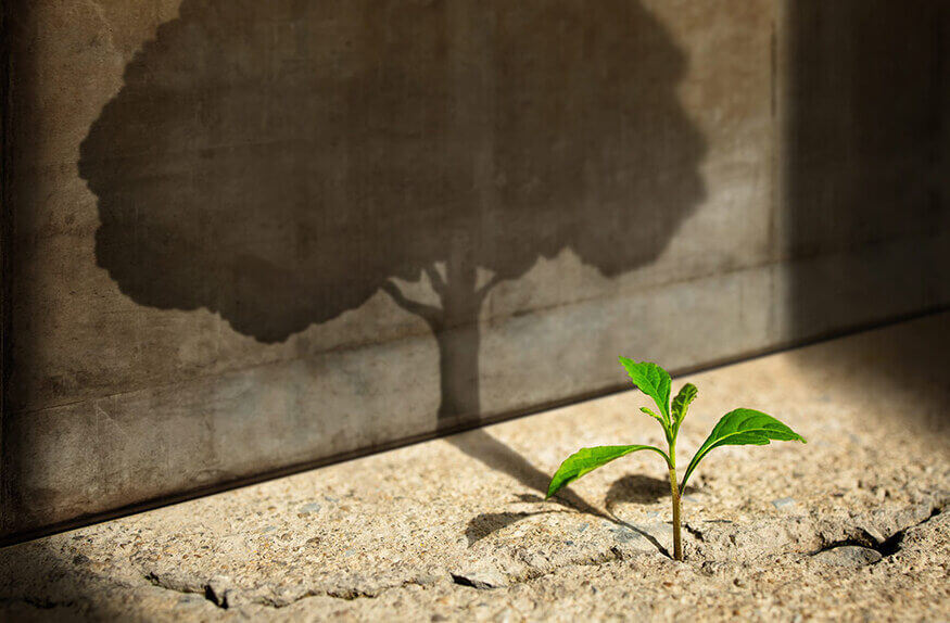 Trust and Conflict Resolution from Day 1 | JAMS Pathways